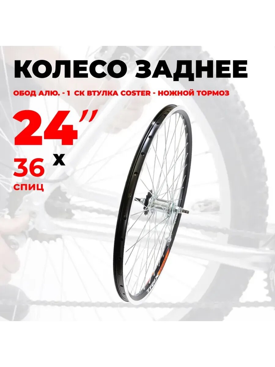 Колесо велосипедное Coster 4205, двойное, заднее, 24", алюминий
