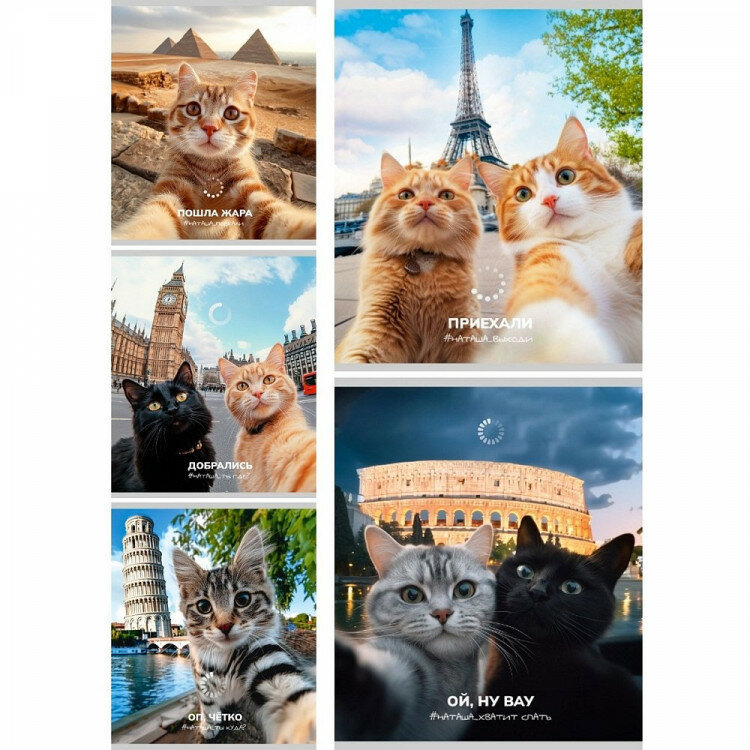 Тетрадь А5 клетка 48 листов скоба (Prof-Press) Котики туристы мелованная обложка ассорти арт. Т48-9121. Количество в наборе 5 шт.