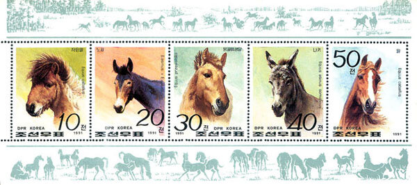 Почтовые марки Северная Корея 1991г. "Лошади" Домашние питомцы MNH
