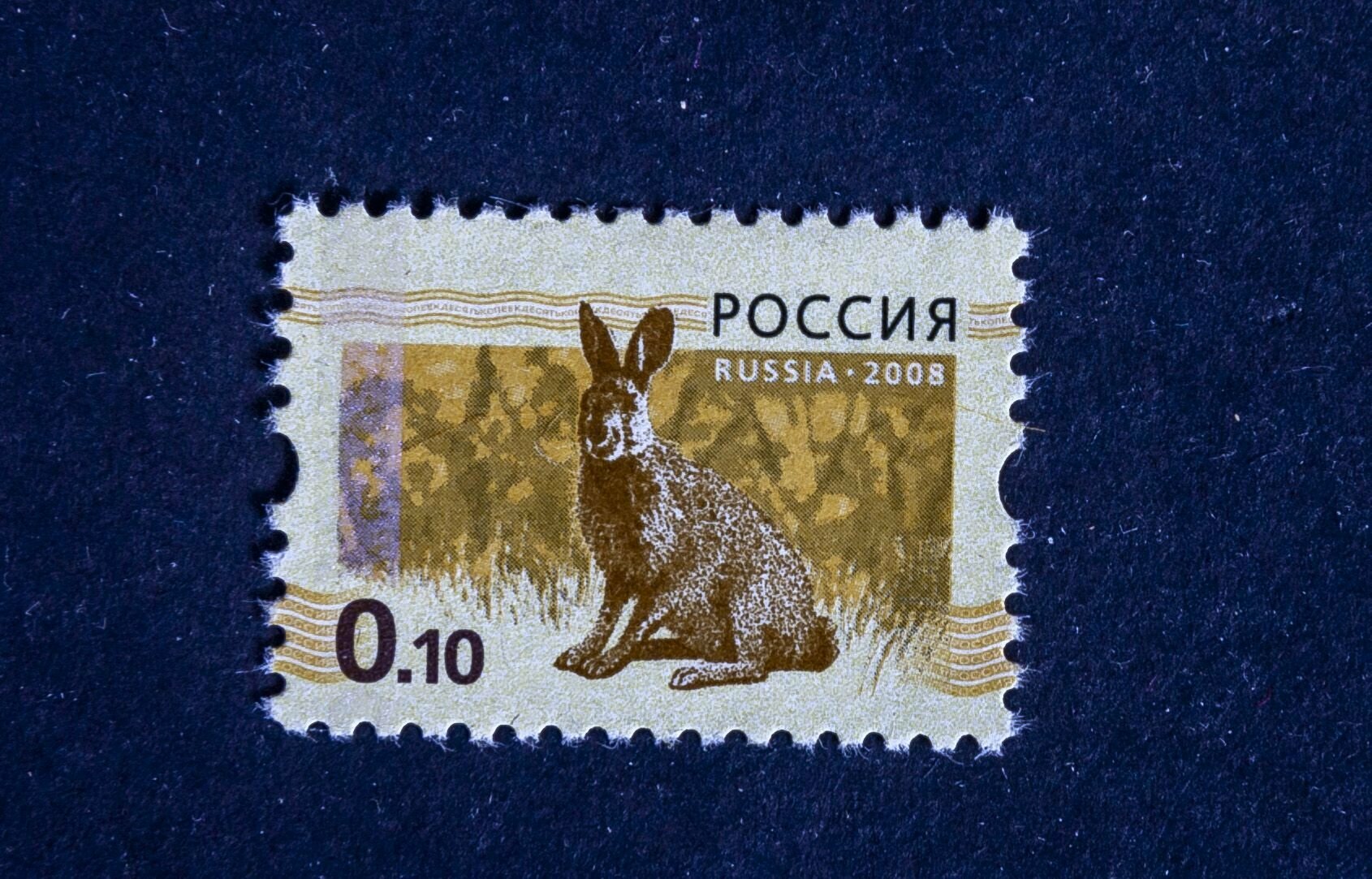 Россия 2008 Фауна. Пятый выпуск стандартных почтовых марок Российской Федерации. Растр 15 без текста