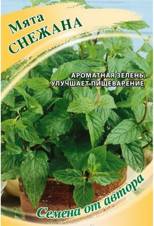 Мята Снежана