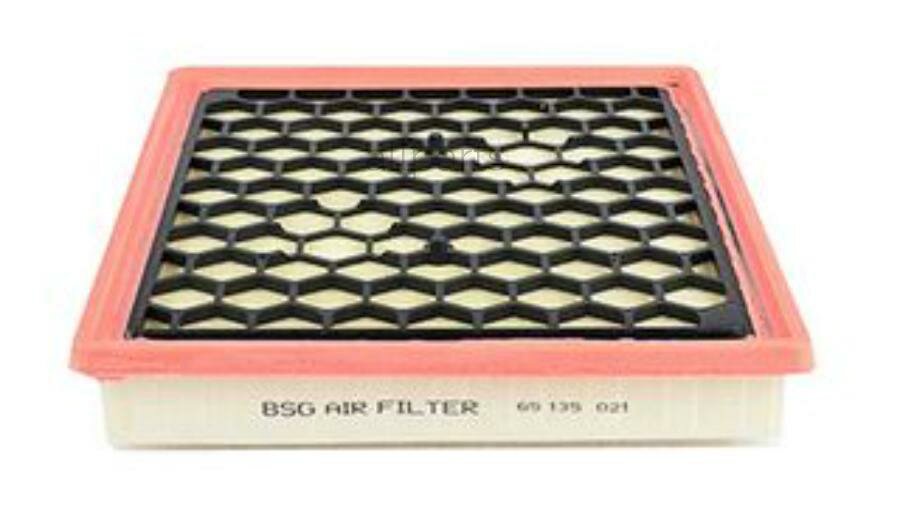 BSG AUTO PARTS BSG 65-135-021 Фильтр воздушный