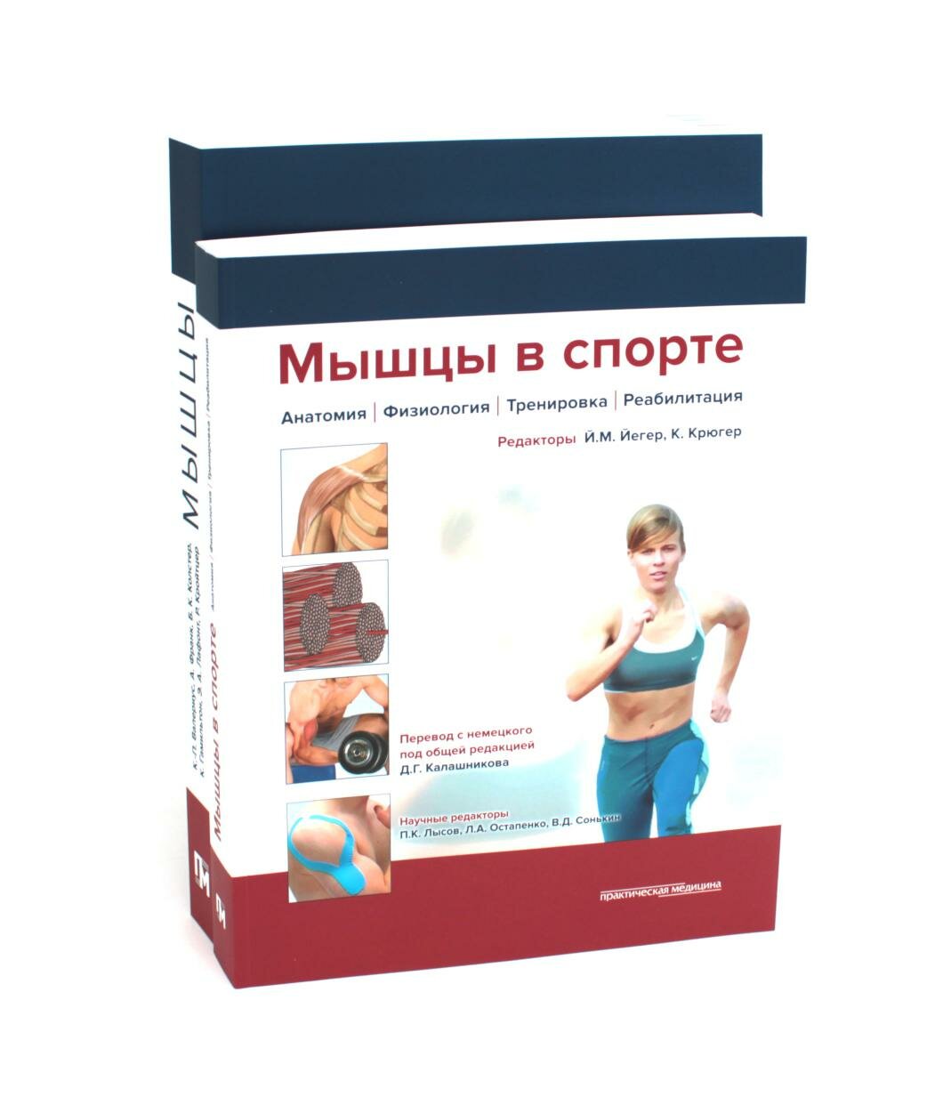 Мышцы. Анатомия. Движения. Тестирование + Мышцы в спорте. Реабилитация: комплект из 2 книг. Валериус К.-П, Колстер Б. К. Практическая медицина