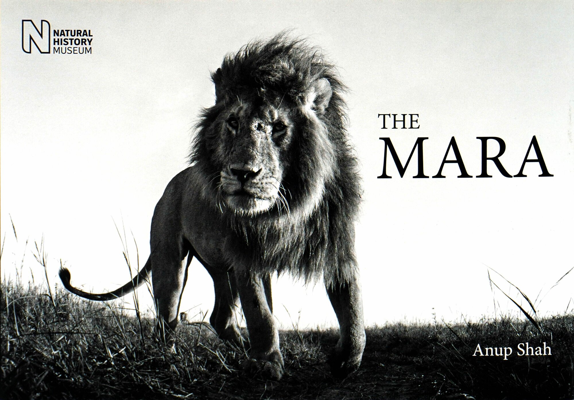 Natural History Museum: Mara