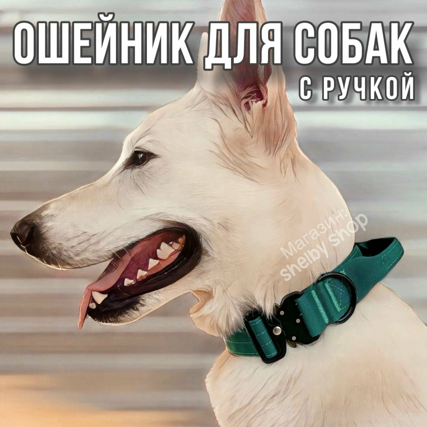 Ошейник для собак с ручкой и замком КОБРА