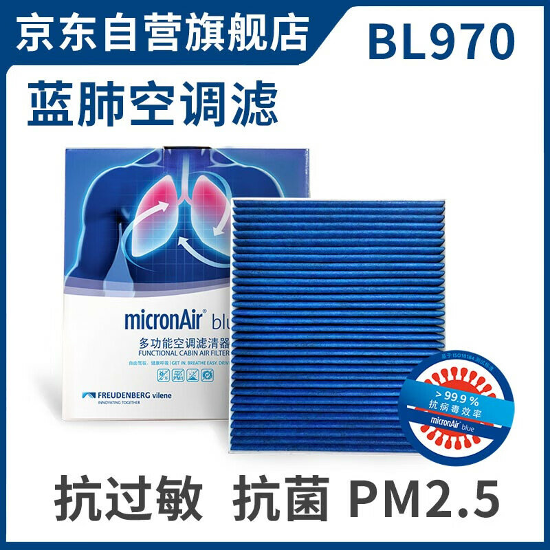 Kedebao Blue Lung Air Conditioning Filter Element BL970, Suitable for CT5, Malibu XL, LaCrosse, Verano, Tangjiezhe E5, Weilan 6