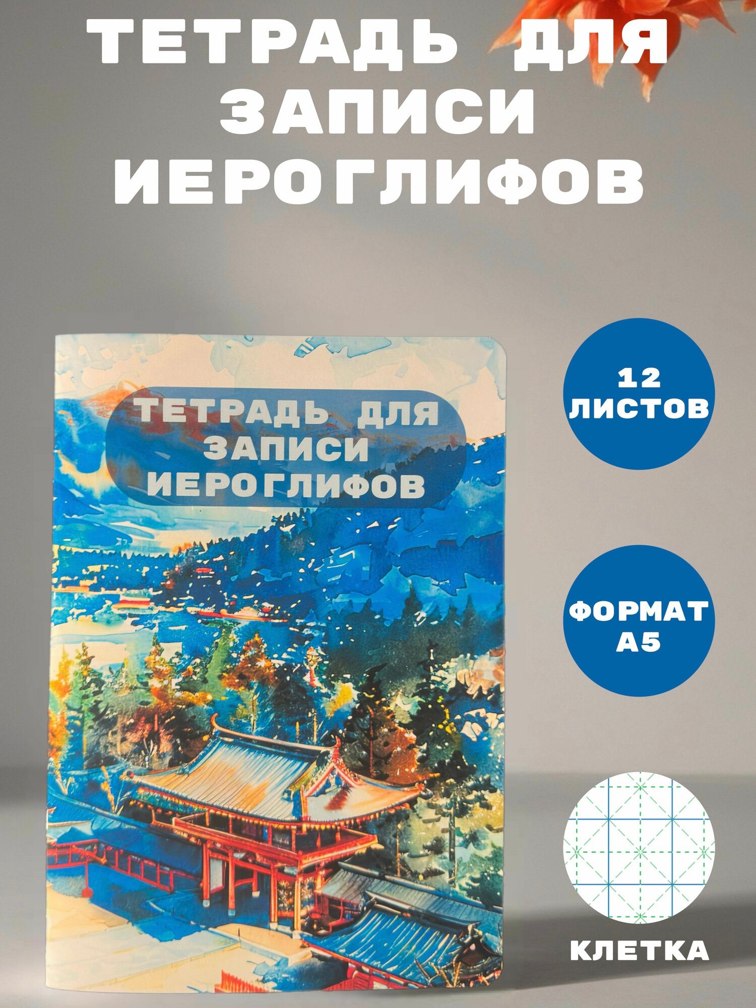Тетрадь для записи иероглифов