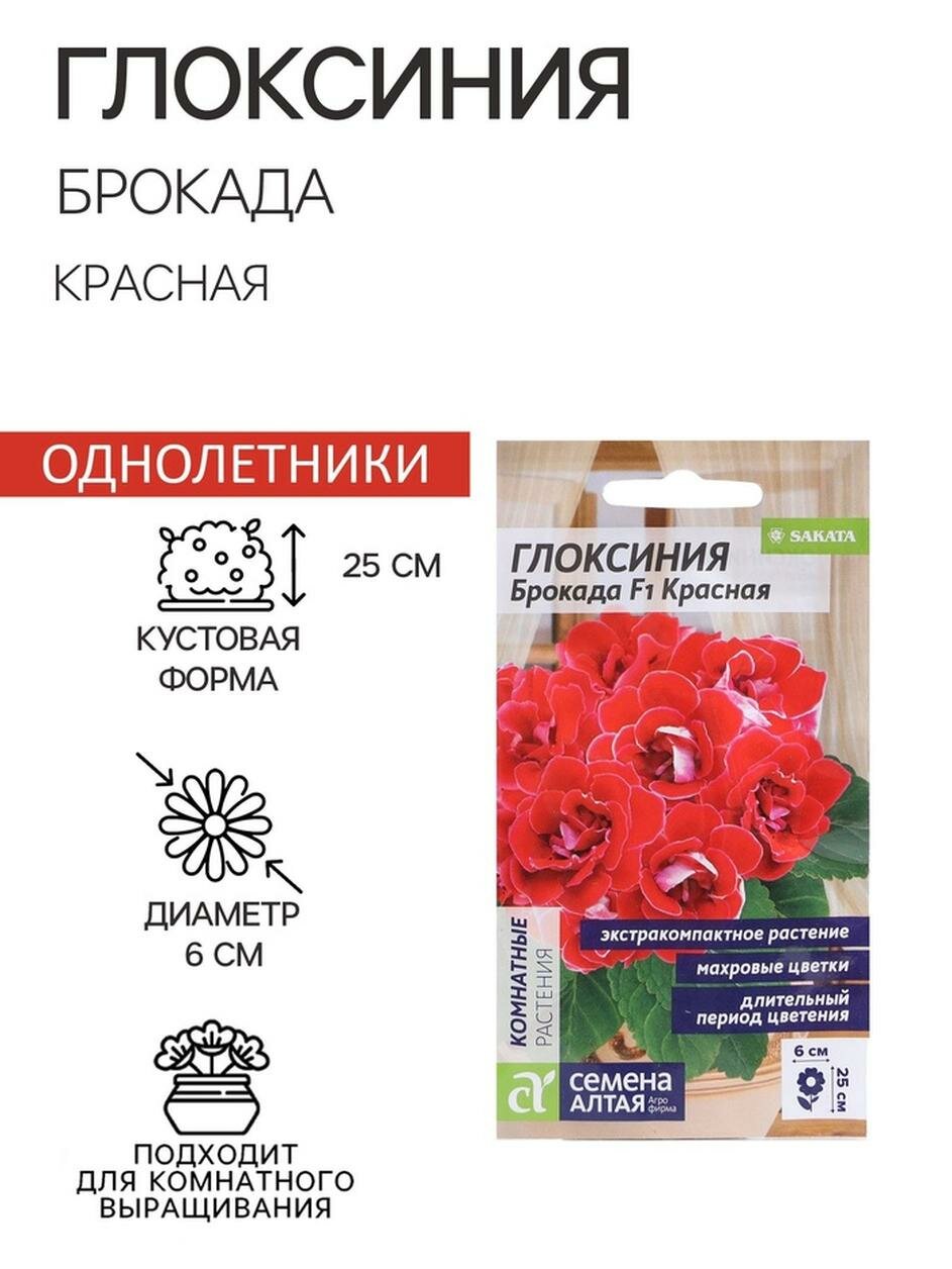 Семена комнатных цветов Глоксиния Брокада "Красная", ц/п, F1, 8 шт.