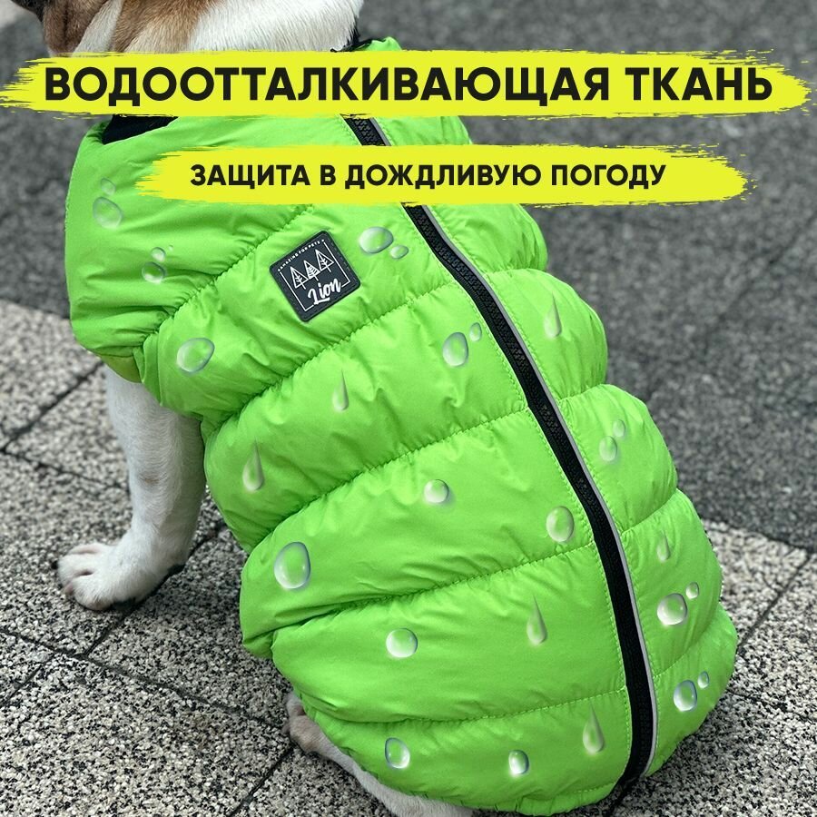 Одежда для животных — фото 1