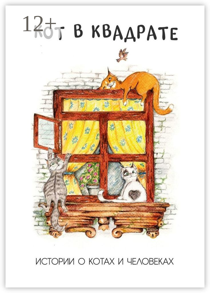 Кот в квадрате