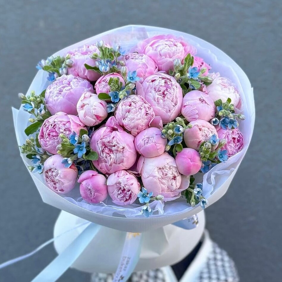 Букет из розовых пионов 31 шт с оксипеталумом, красивый букет цветов, шикарный, премиум цветы, премиум букет