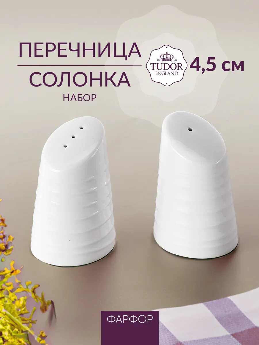Солонка и перечница TUDOR ENGLAND Royal Circle набор для специй фарфор