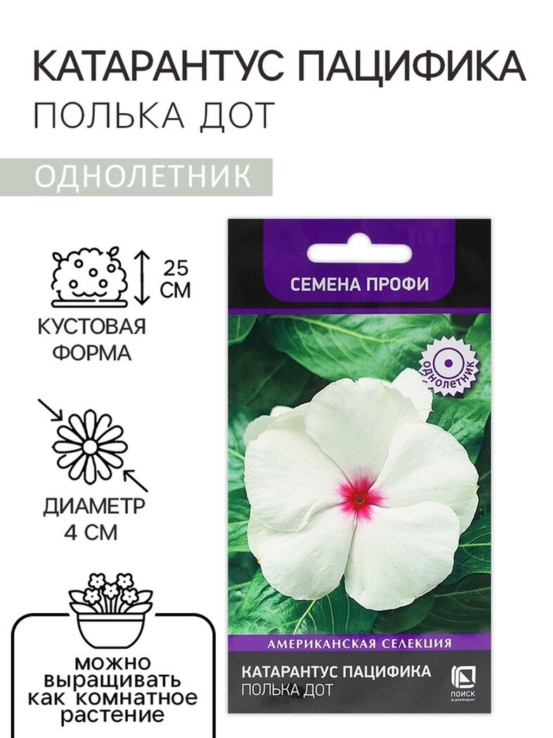 Семена цветов поиск "Катарантус Пацифика Полька Дот", 10 штук