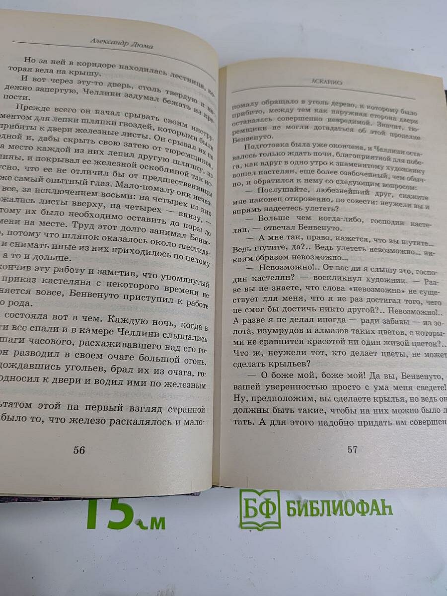 Асканио. Книга 1 — фото 1
