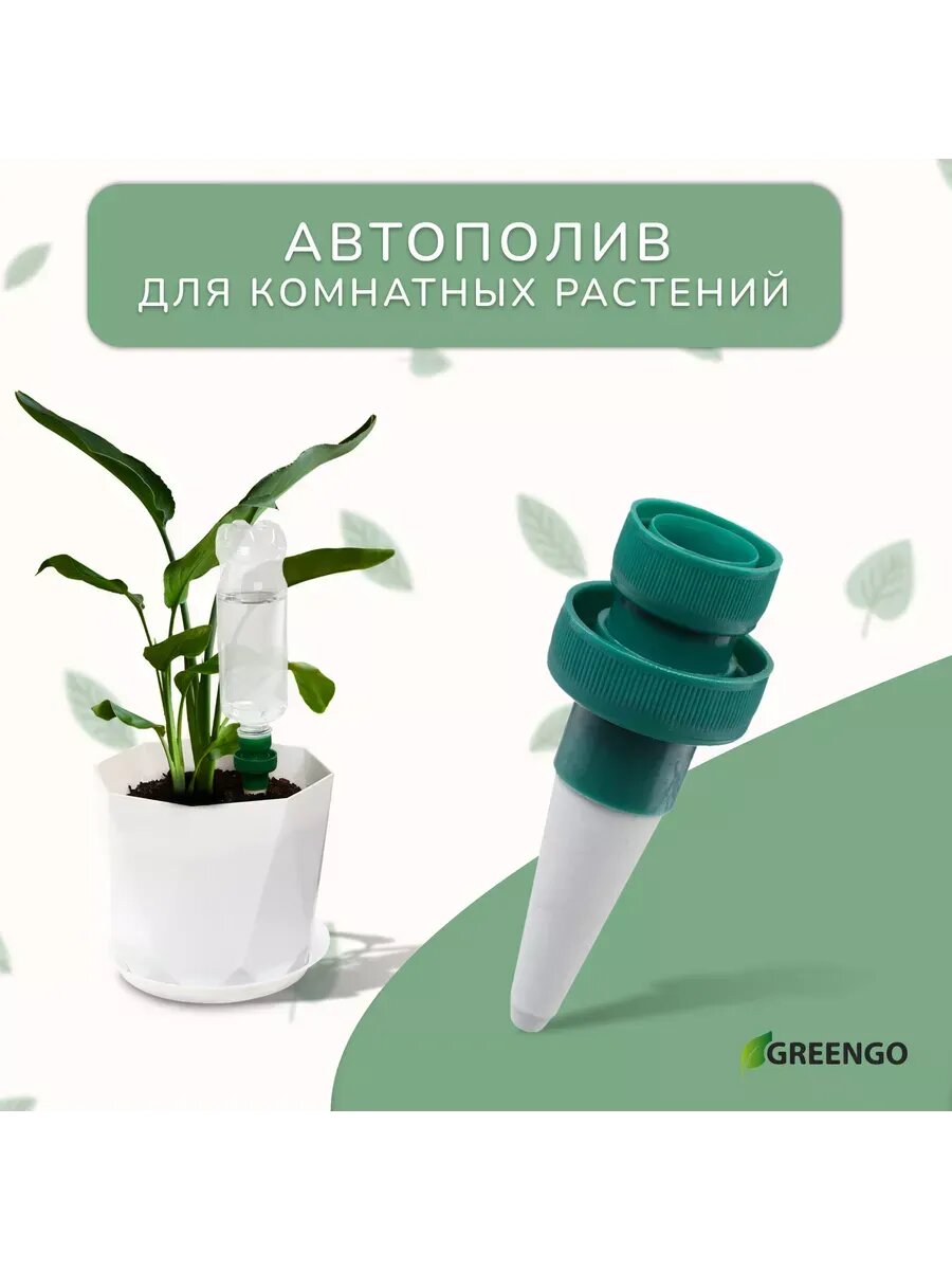 Автополив для комнатных растений