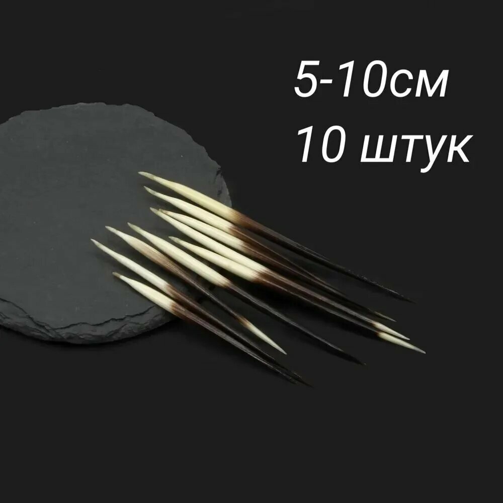 Иглы дикобраза, В пределах 10 см, натуральный цвет, 10 шт