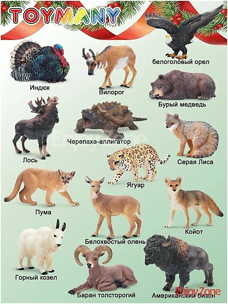 Toymany Набор фигурок животных, 14 шт, Североамериканские животные, Маленький размер, Реалистичный и коллекционный