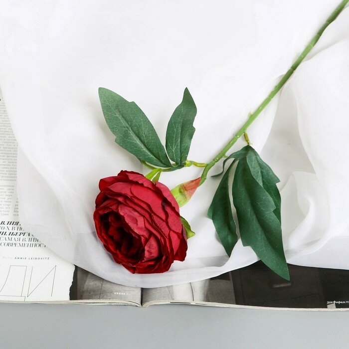 Цветы искусственные «Пион Пижон», h=45 см, d=8 см, бордовые