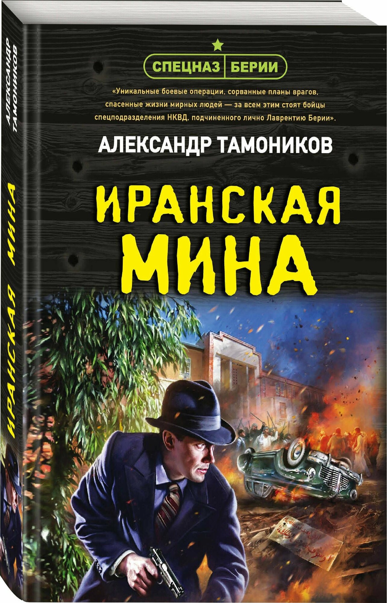 Иранская мина — фото 1