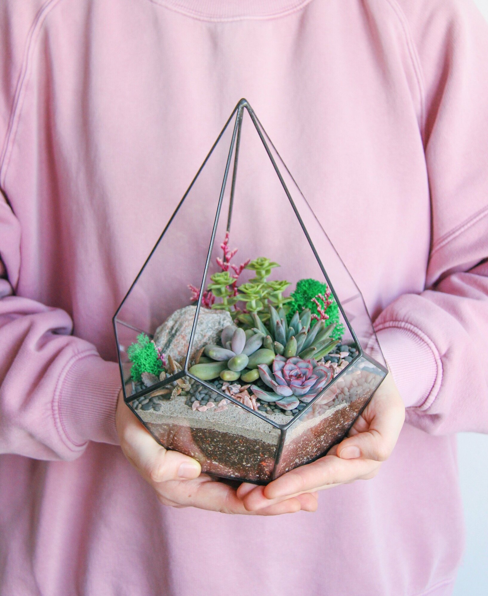 Флорариум северinside, с многолетними суккулентами, светолюбивые