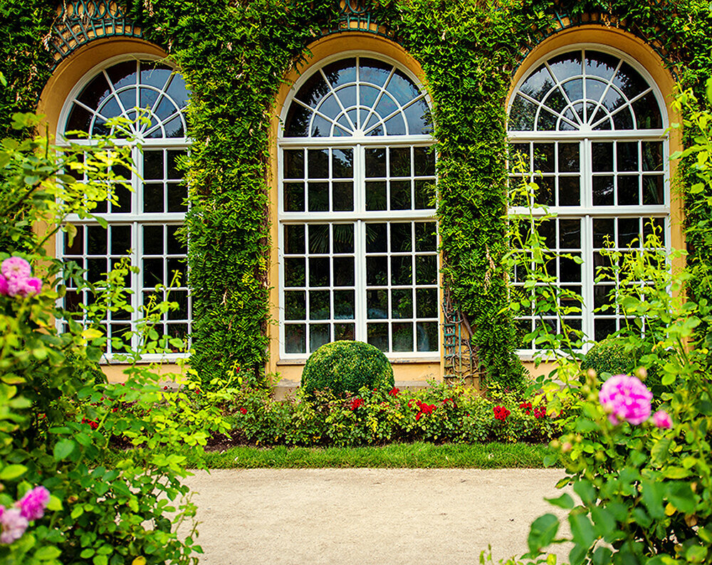 Фотообои Divino Decor "Окна" В-061 300*238 фактура холст