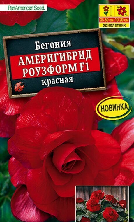 Семена растения Бегония Америгибрид Роузформ F1 красная