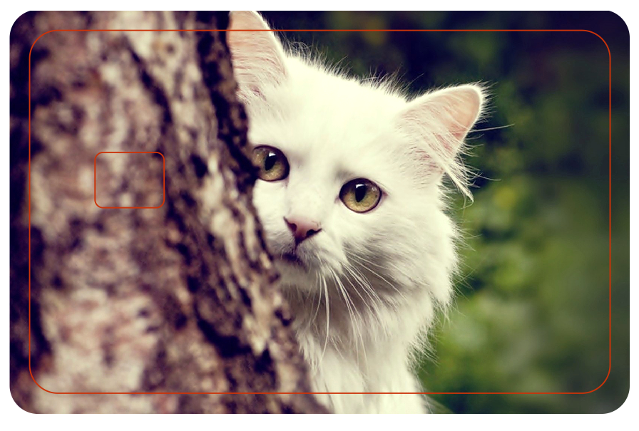 Наклейка на банковскую карту, стикер на карту, кошки