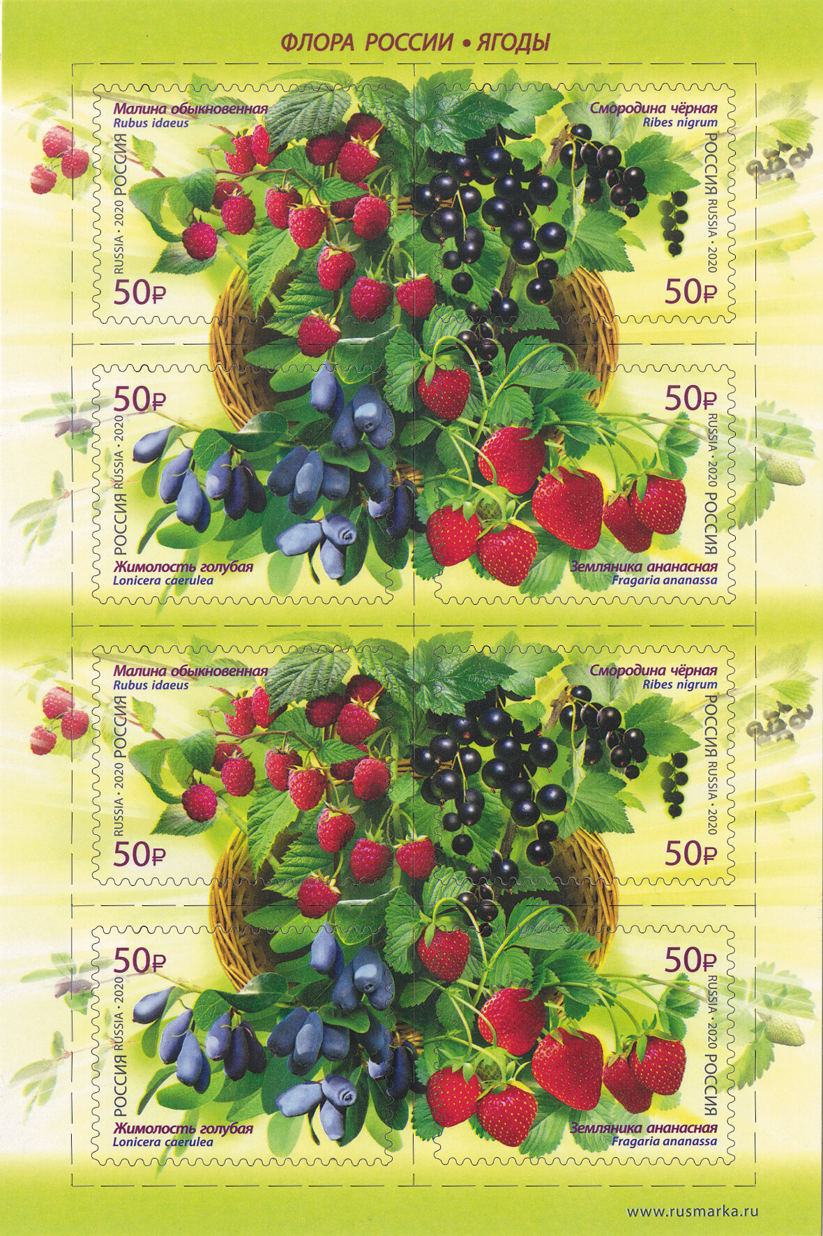 Почтовые марки Россия 2020г. "Ягоды" Ягоды, Флора MNH