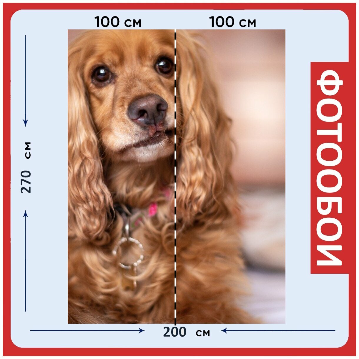 Фотообои "Английский кокер спаниель, собака, щенок" 200x270 см. флизелиновыена стену