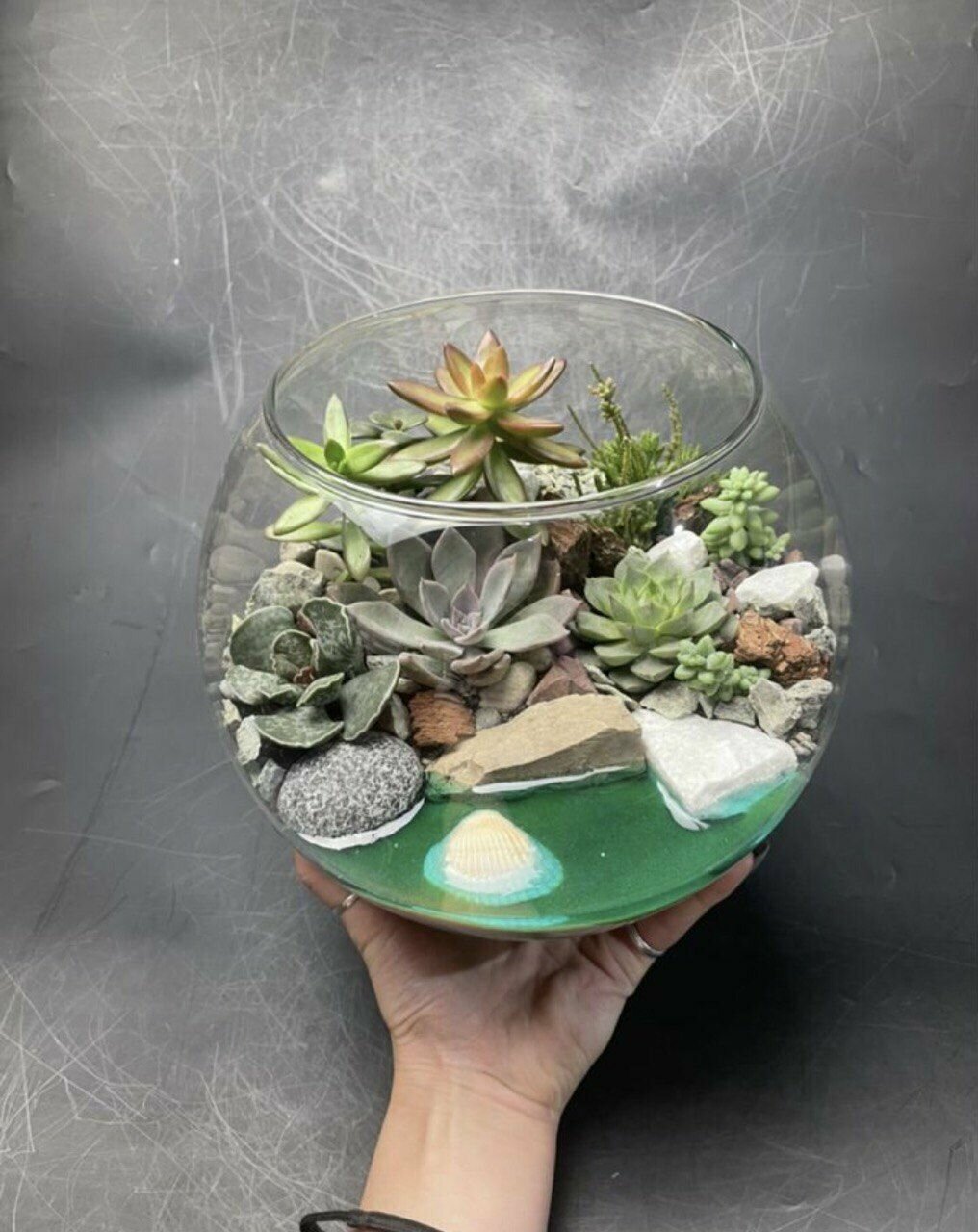 Флорариум, Мини сад с водоёмом / Подарок / Комнатное растение