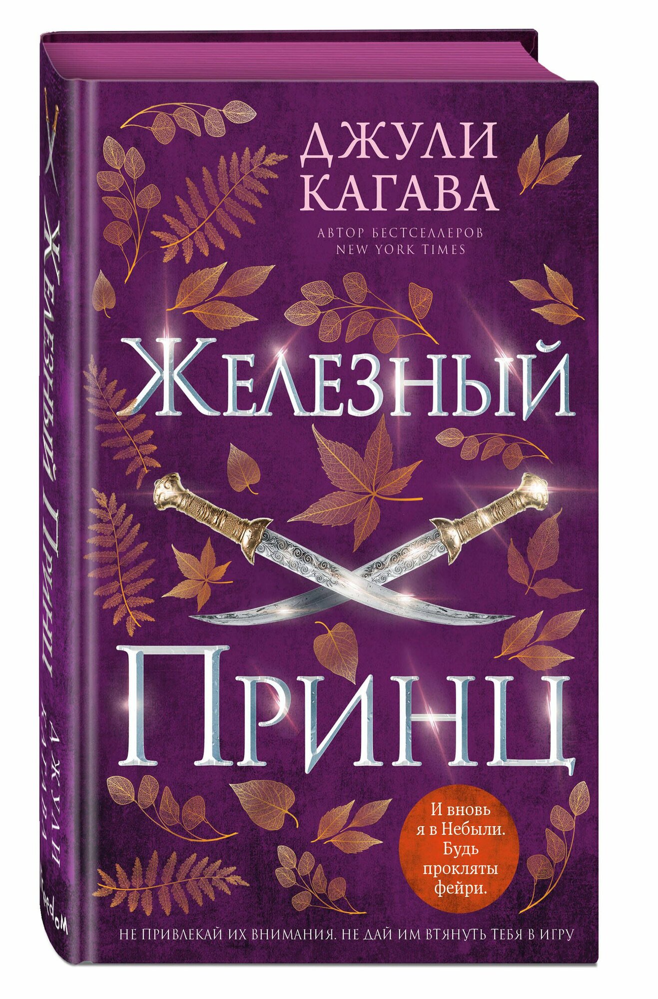 Железный принц — фото 1