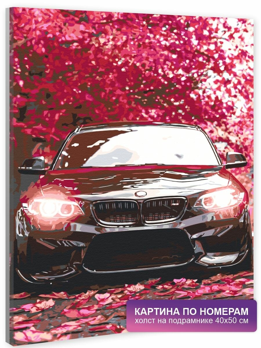 Картина по номерам на холсте с подрамником 40х50 см. Автомобиль, машина. "BMW M4", арт. 4520/