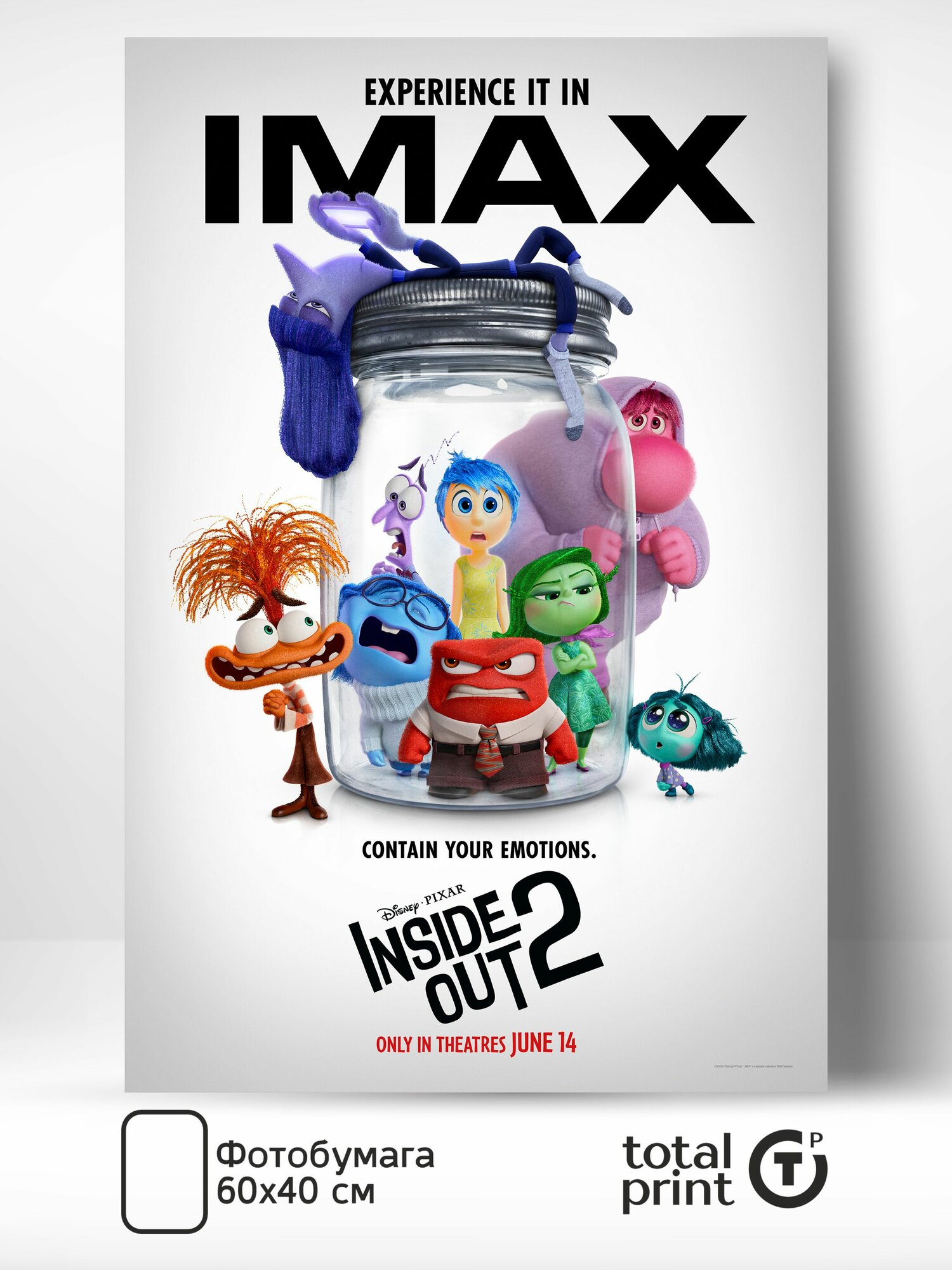 TotalPrint Постер для интерьера по фильму, 60х40см, Головоломка