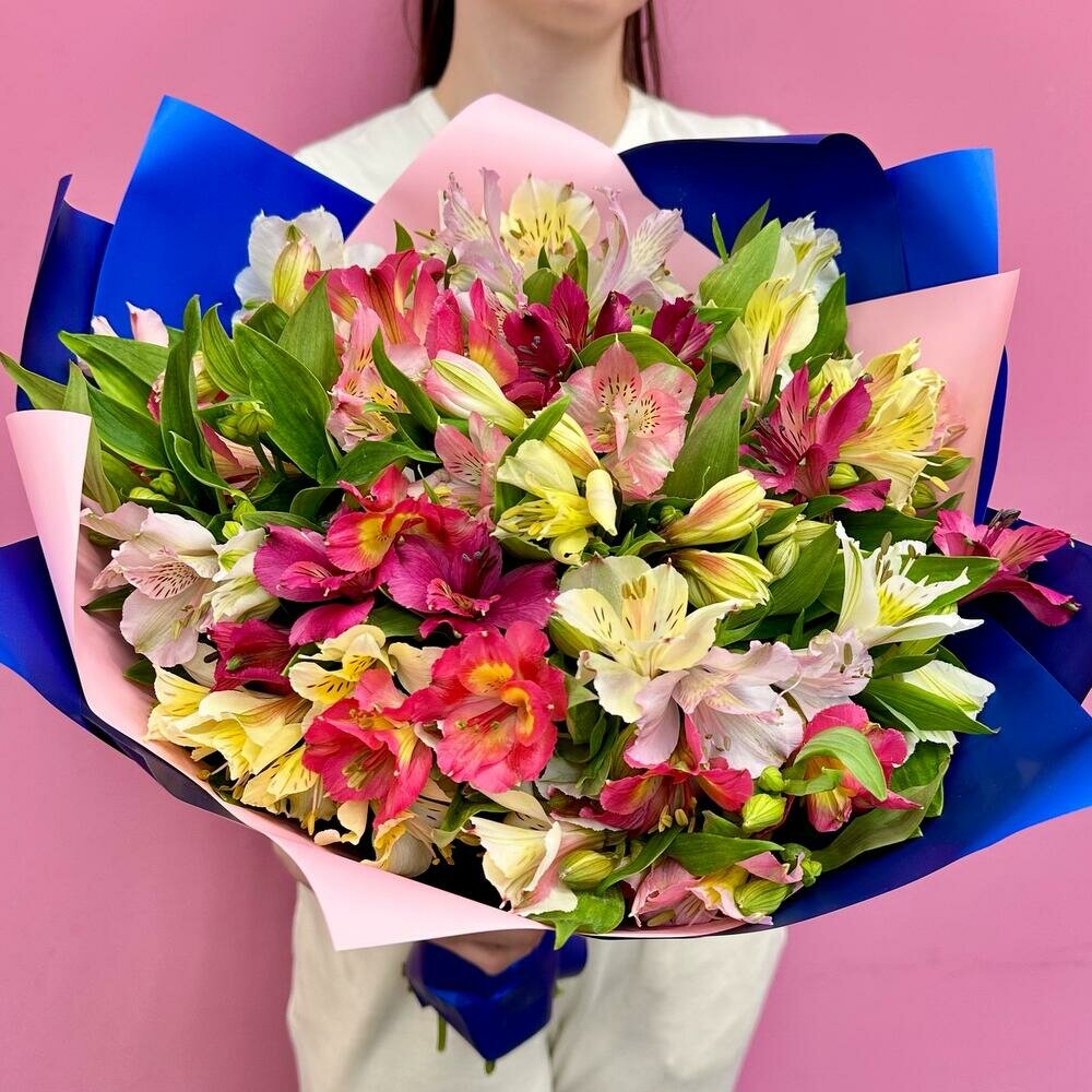 Яркие альстромерии 25 штук в стильной упаковке от Bestflo купить с доставкой