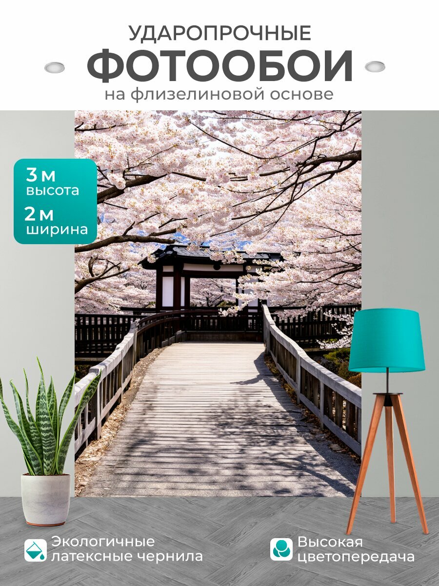 Фотообои моющиеся ударопрочные "Мост в японском стиле, окруженный сакурой, цветущей весной. плавные линии и гармония форм создают атмосферу спокойствия." 200x300 см. флизелиновые на стену