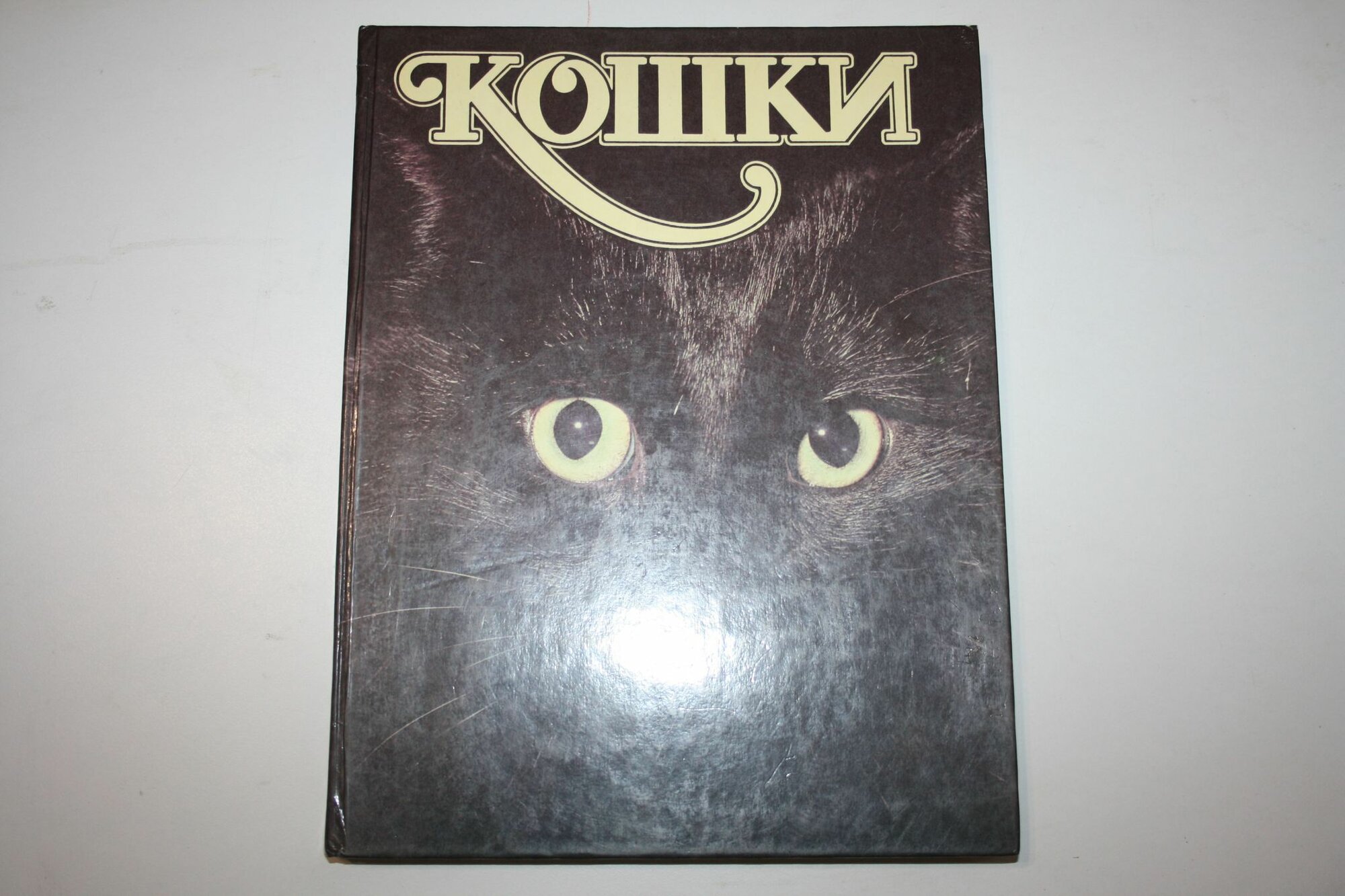 Кошки. Альбом