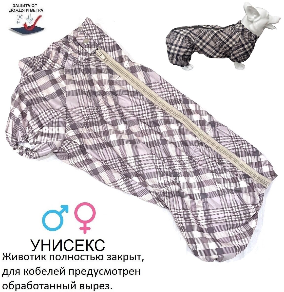 Одежда для корги. Дождевик для корги "Шотел" (50см )