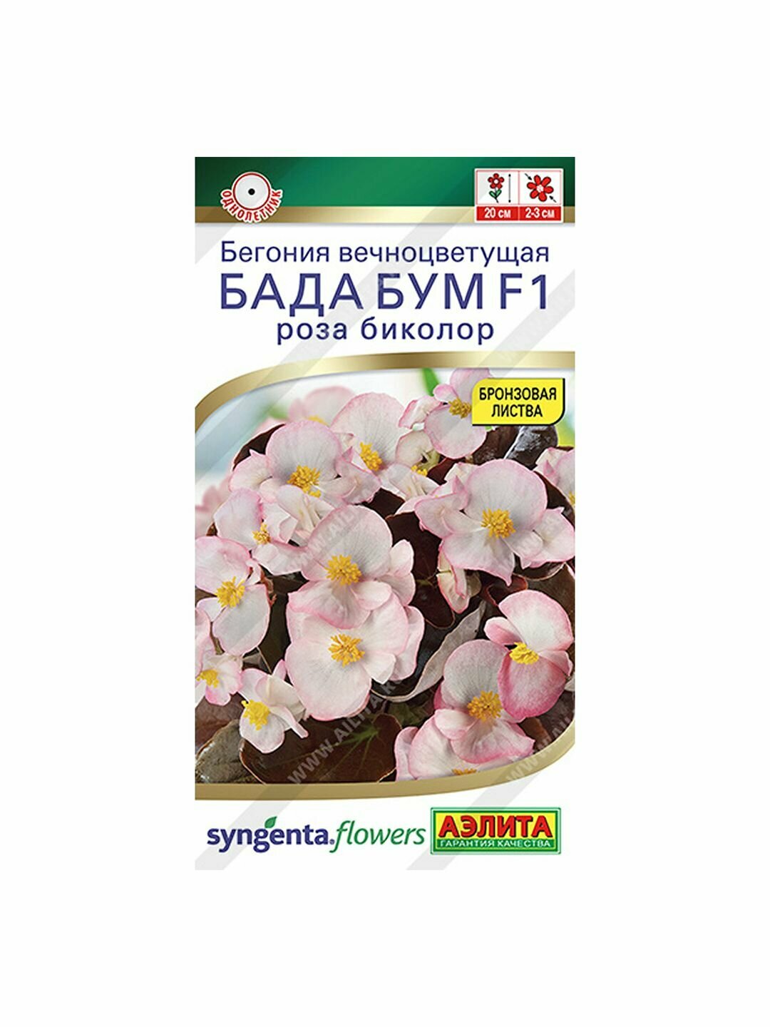 Семена Бегония Бада бум F1 роза биколор, однолетник, Аэлита - Syngenta, 1 пачка - 5 семян