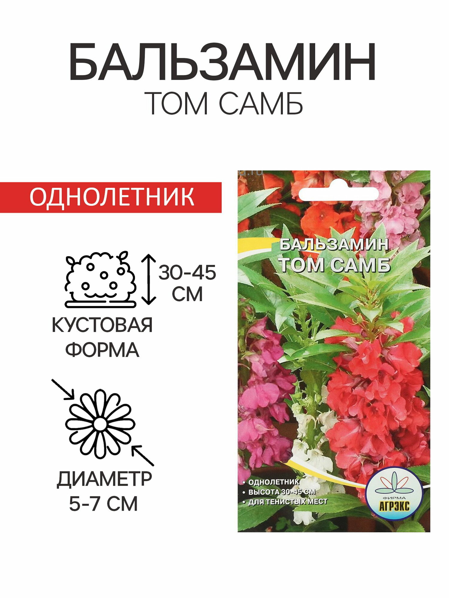 Семена цветов однолетние Бальзамин "Том Самб" 0.1 г, по форме куста: ампельная, 3 шт.