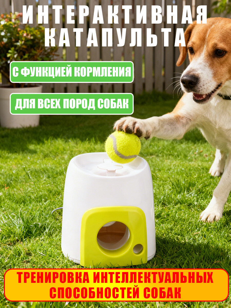 Катапульта мячей для собак интерактивная OZBERRY с 3 мячами