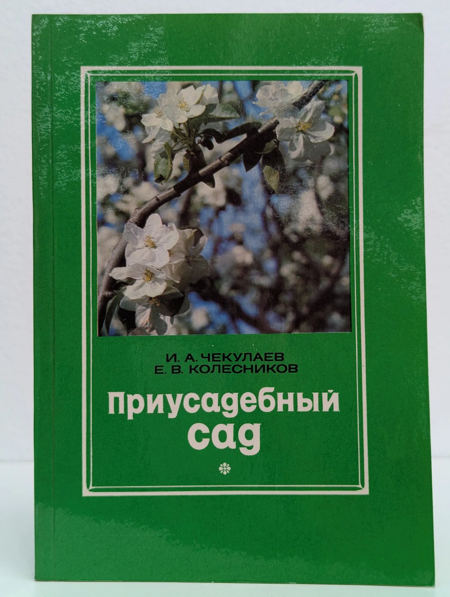 Приусадебный сад Чекулаев Иван Алексеевич, Колесников Евгений Венедиктович 1979