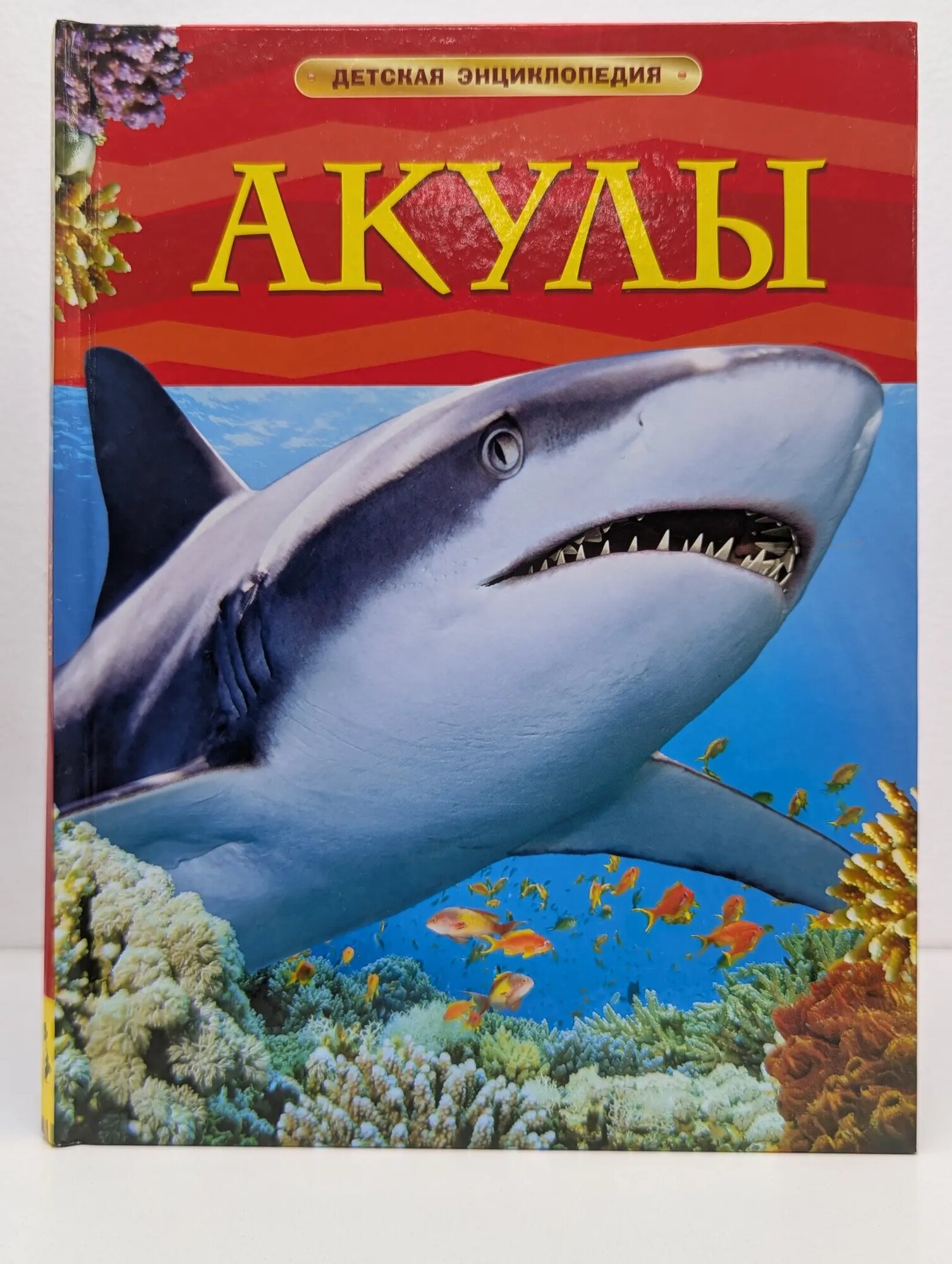 Детская энциклопедия. Акулы Сборник 2020