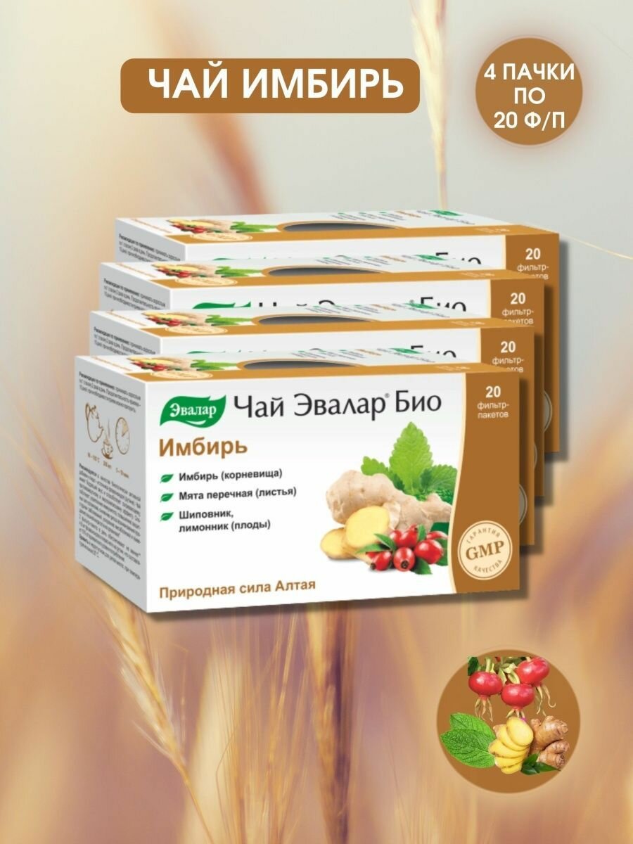 Чай имбирь 20 фильтр-пакетов по 1,5г Эвалар Био