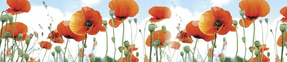 Кухонный фартук/стеновая панель МДФ для кухни 2800*600*6мм "BS-204"