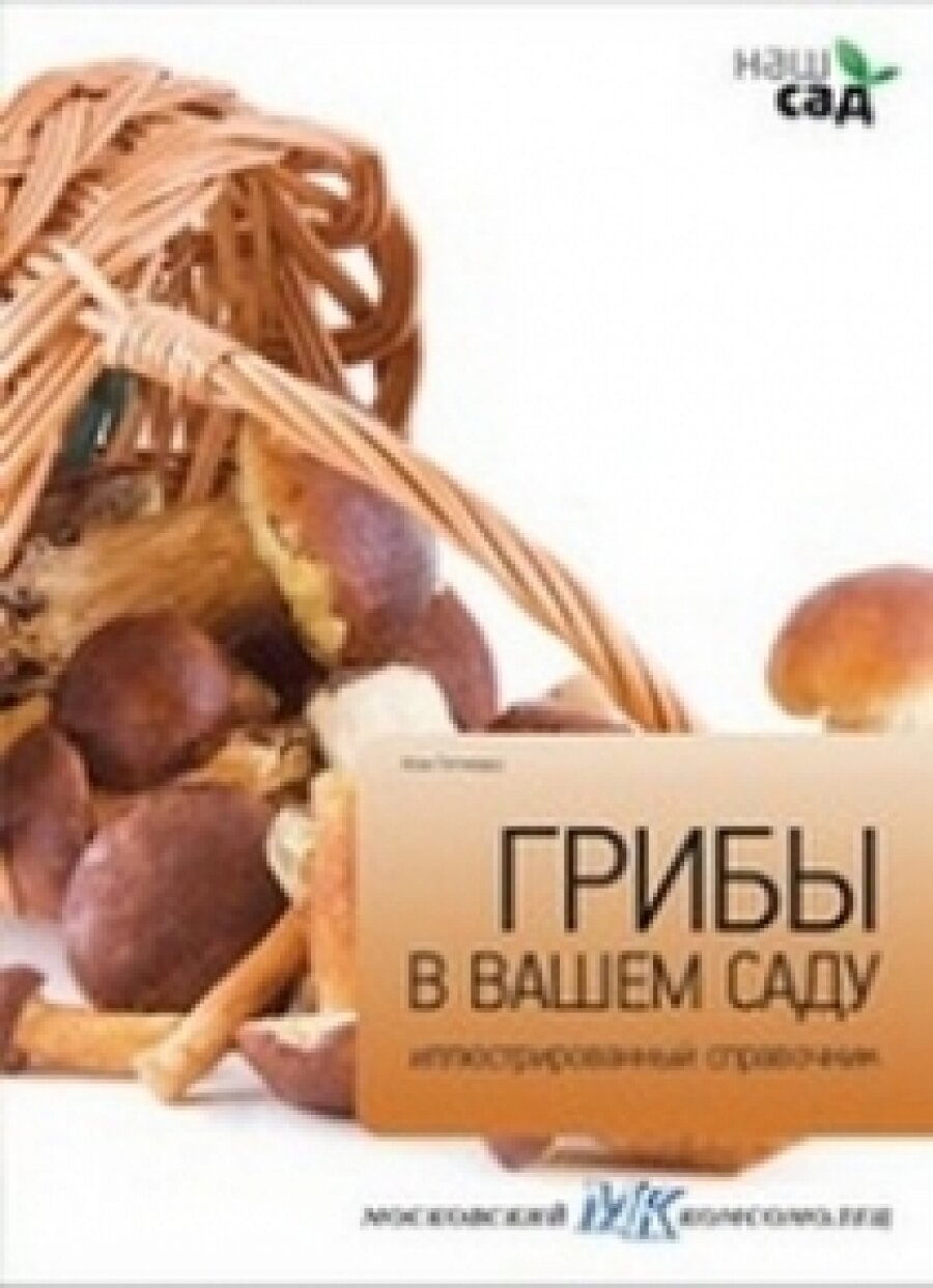 Грибы в вашем саду