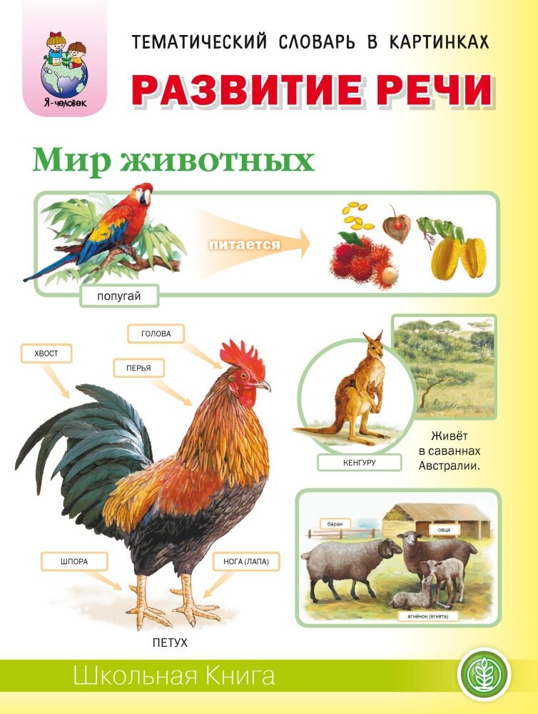 Развитие речи. Тематический словарь в картинках. Мир животных: "Домашние животные", "Дикие животные