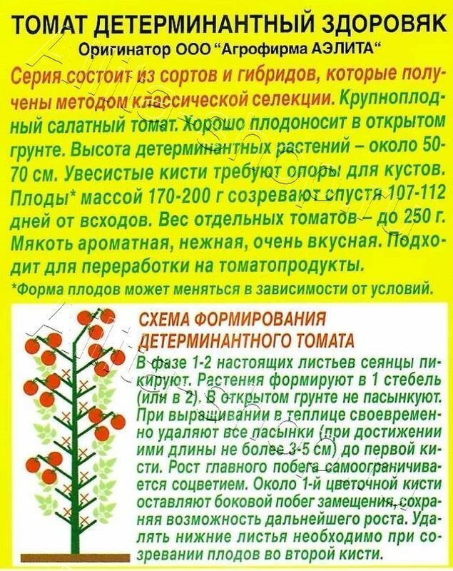 Семена томата Аэлита "Здоровяк", однолетние, 20шт, высота растения 70см — фото 1