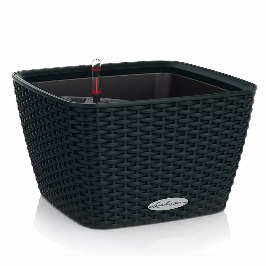 Кашпо Lechuza Bacino Cottage, с автополивом, пластик, черное,18 см