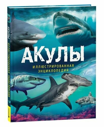 ЖивотныеИРастения Акулы. Иллюстрированная энциклопедия (Мэйсон П.), (Росмэн/Росмэн-Пресс, 2024), 7Б, c.112
