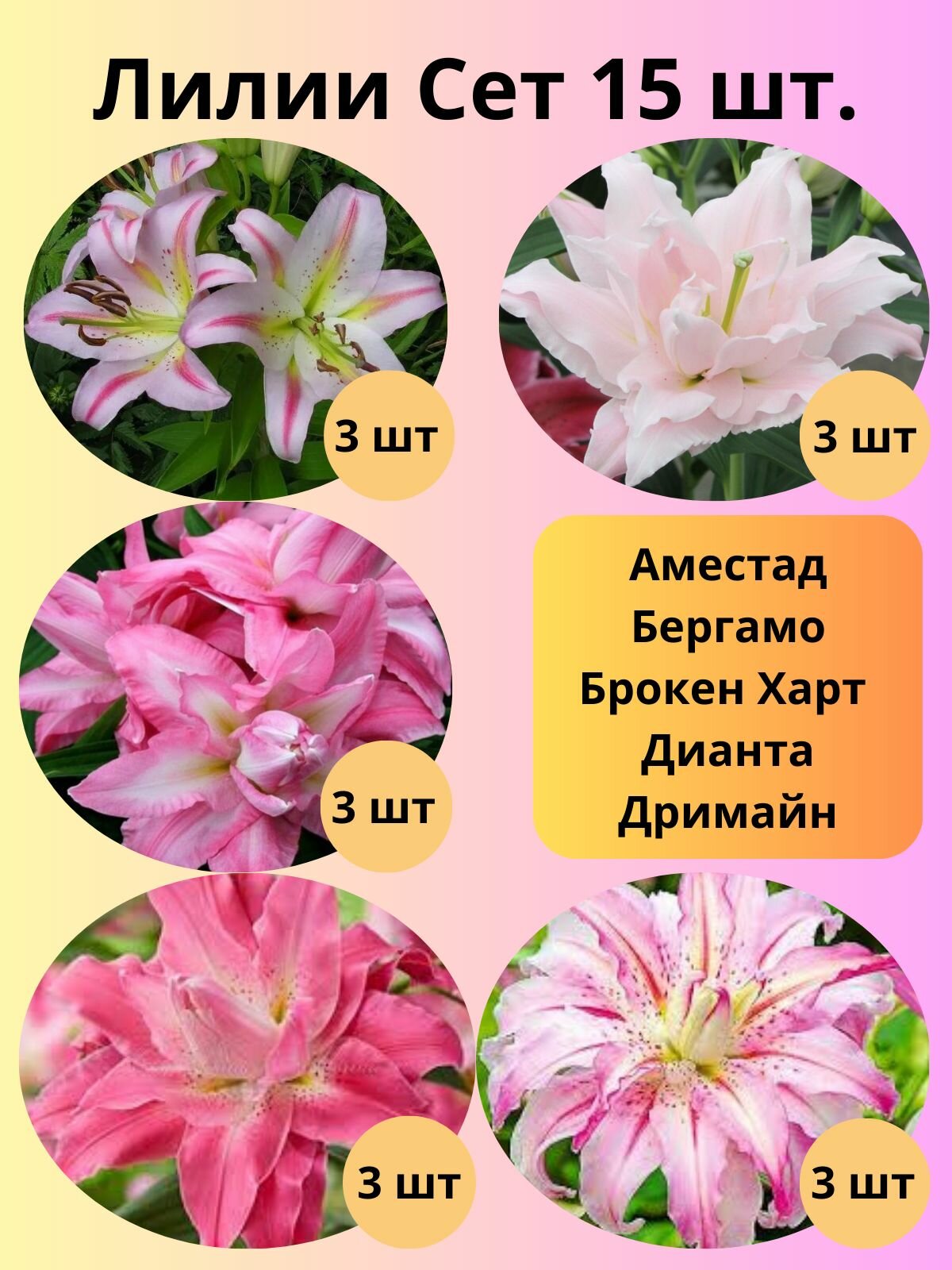 Лилия, луковицы для посадки, сет 15 штук